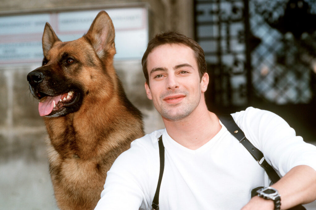 Psí celebrity: Bernardýn Bohouš sežral všechno, Komisař Rex si potrpěl na housky se salámem ...